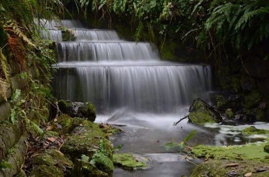 BROCKHILL COUNTRY PARK - A NORMAN LEGACY! - Folkestone & Hythe