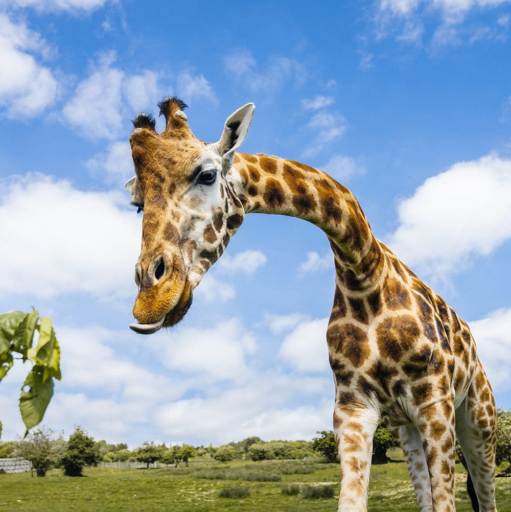 Win a cosy getaway to Folkestone! - Folkestone & Hythe